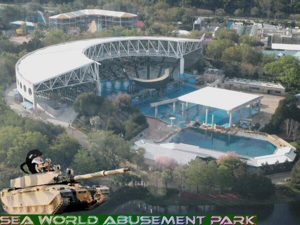 .@SeaWorld rehabilitate and release #Tilikum and all the other # ...