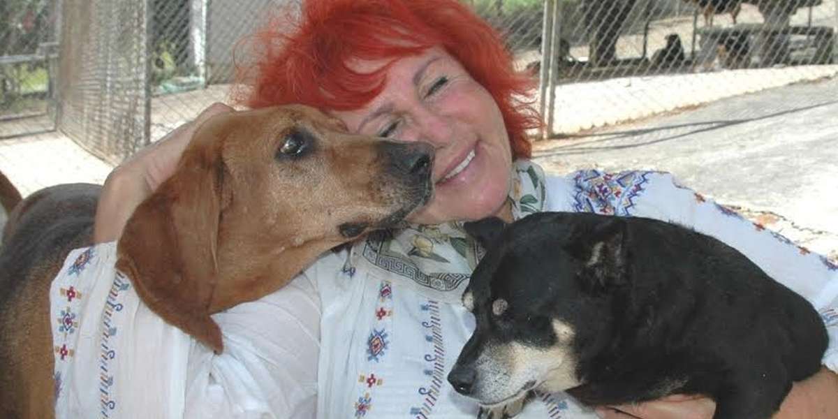 Woman Gives Up Everything To Save Hundreds Of Dogs - The Dodo