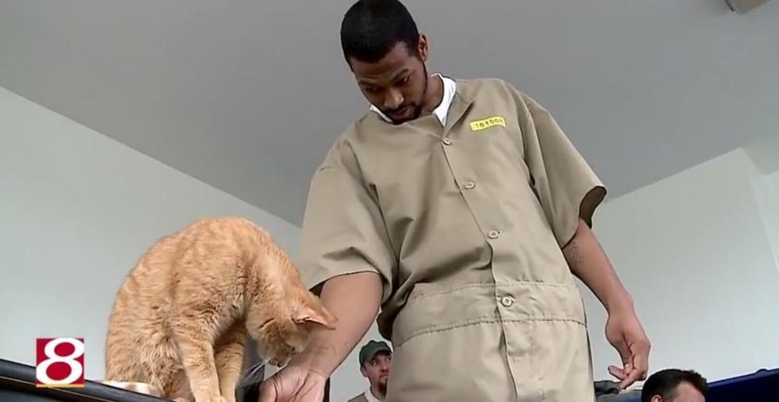 Cats Seeking Forever Homes Find Unlikely Friends Within Prison Walls ...