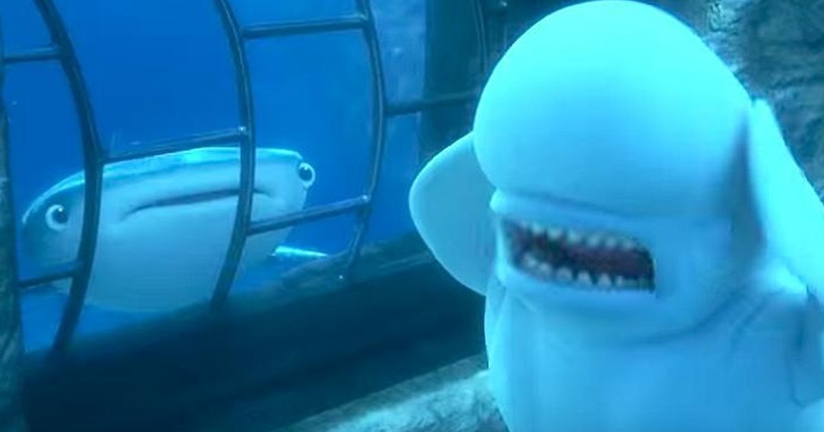 ‘Finding Dory’ Sends A Clear Message To SeaWorld - The Dodo