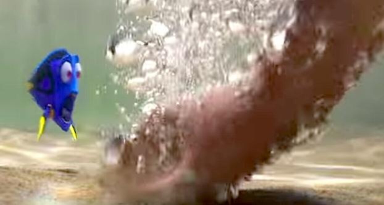 ‘Finding Dory’ Sends A Clear Message To SeaWorld - The Dodo