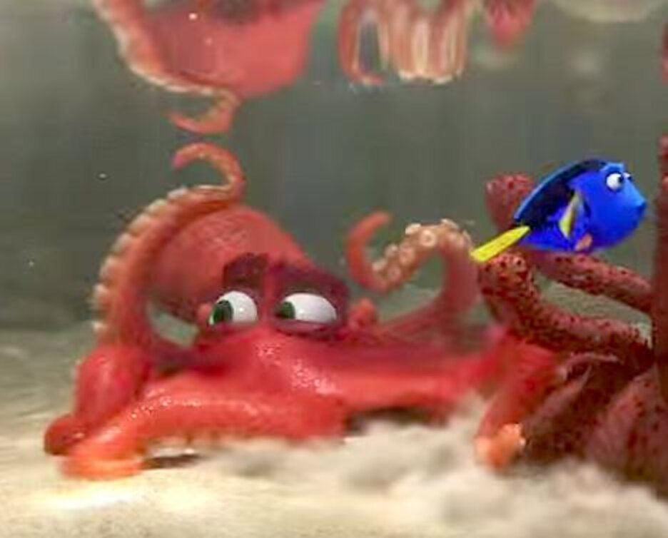 ‘Finding Dory’ Sends A Clear Message To SeaWorld - The Dodo