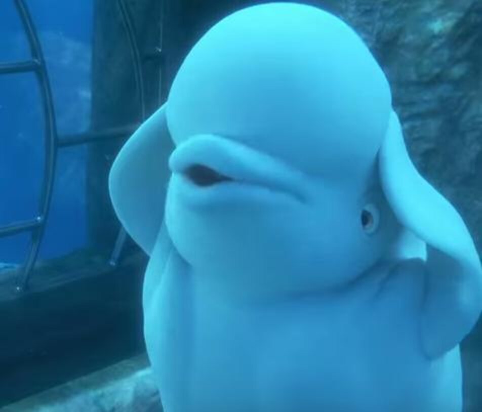 ‘Finding Dory’ Sends A Clear Message To SeaWorld - The Dodo