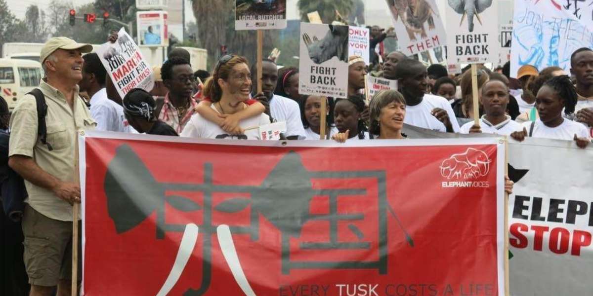 Thousands March Around The World To Save Elephants And Rhinos - The Dodo