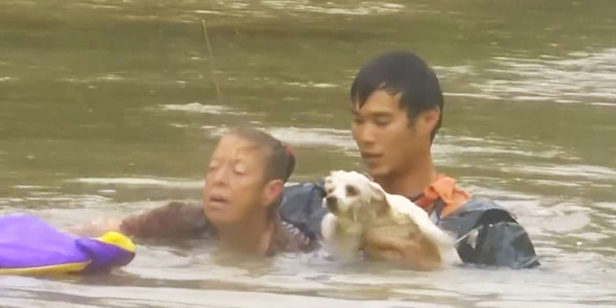 Man Pulls Woman From Sinking Car — Then Goes Back To Save Her Dog - The ...