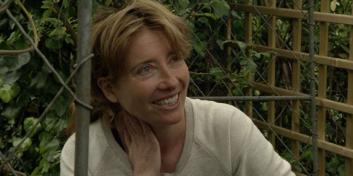 Emma Thompson Opens Up Home For Orphaned Hedgehogs That Fell In Love ...