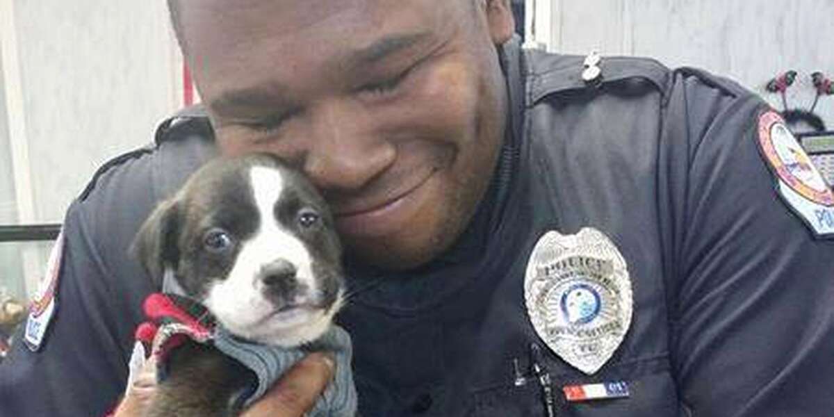 Officer Goes On Routine Call And Ends Up Falling In Love - The Dodo