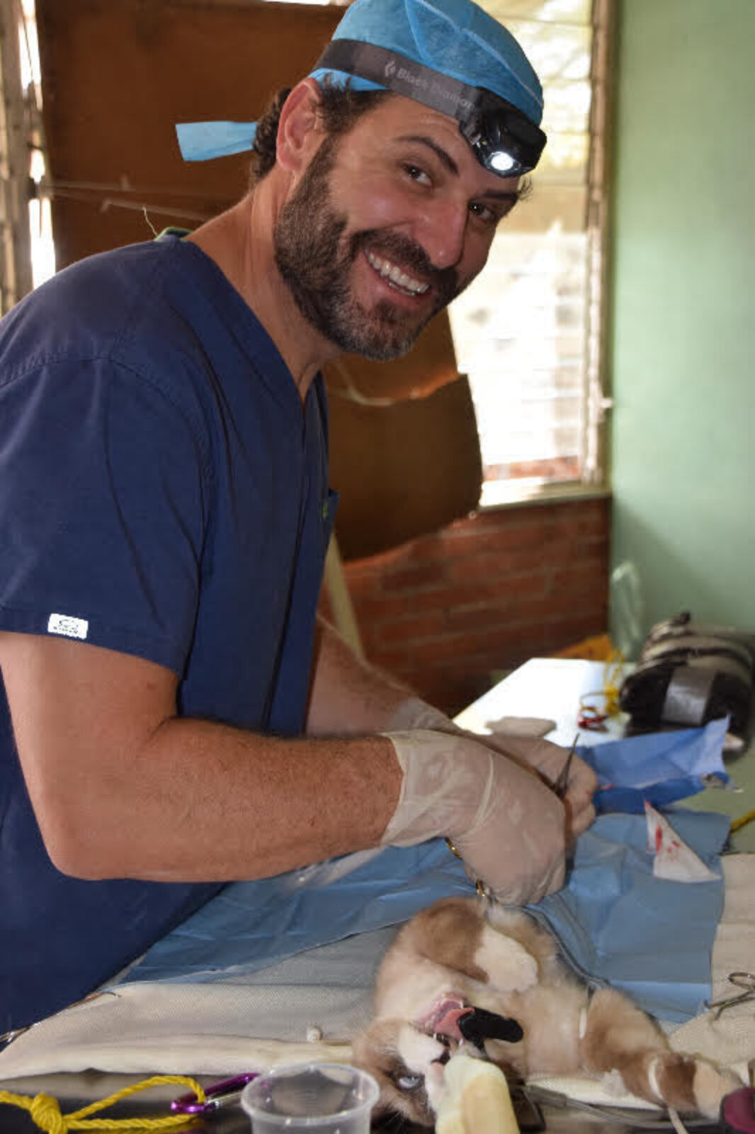 Town Used To Shoot Stray Dogs — Until One Woman Changed Everything ...