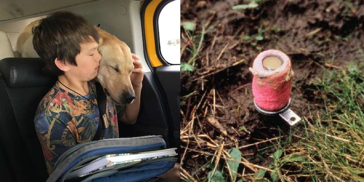 M44 Cyanide From USDA Wildlife Services Kills Idaho Dog - The Dodo
