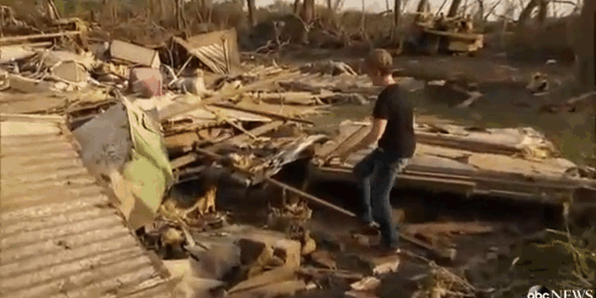 Cat Shocks Reporter By Crawling Out Of Tornado Rubble During Interview ...