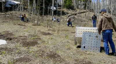 Watch These Ecstatic Animals Taste Freedom - The Dodo