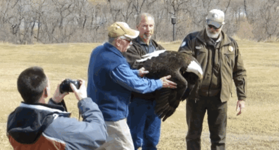 Watch These Ecstatic Animals Taste Freedom - The Dodo