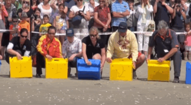 Watch These Ecstatic Animals Taste Freedom - The Dodo