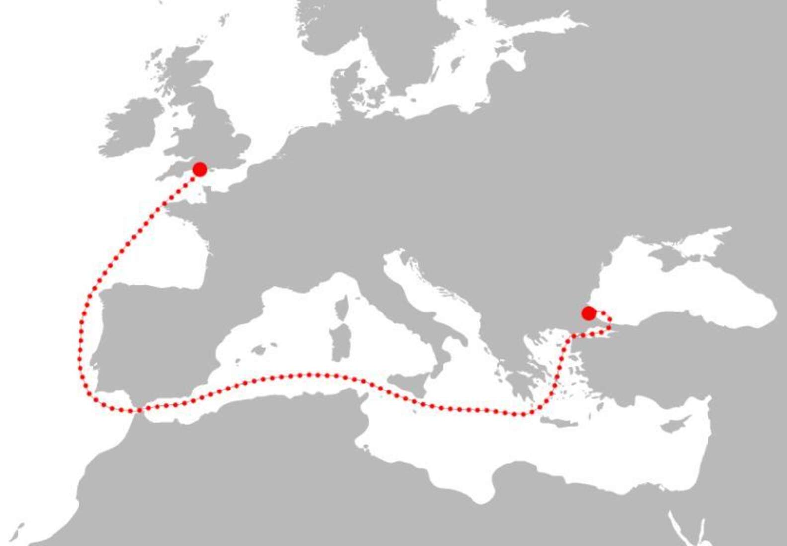 Dog Finds Message In A Bottle From Thousands Of Miles Away - The Dodo