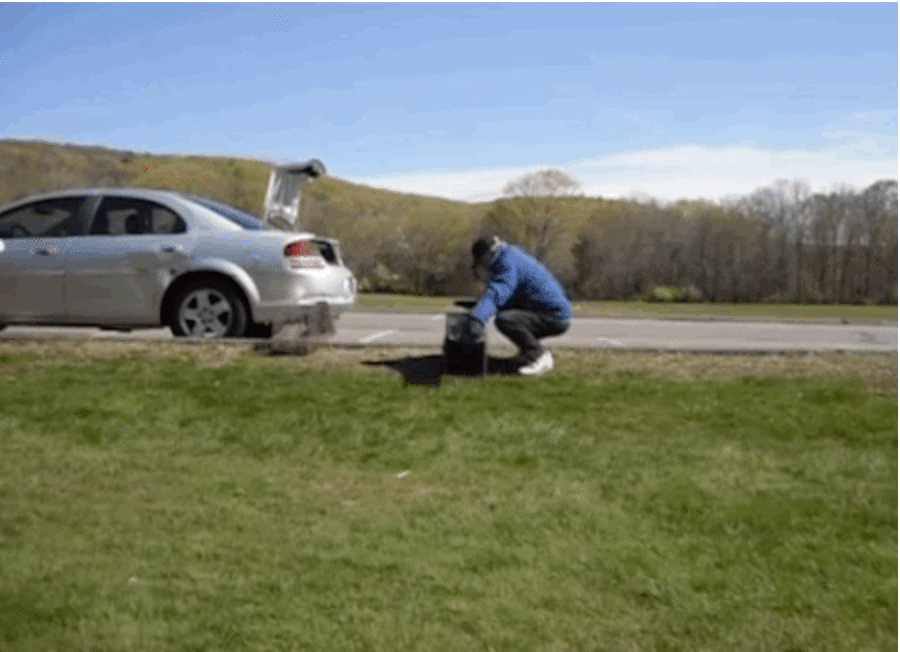 Watch These Ecstatic Animals Taste Freedom - The Dodo
