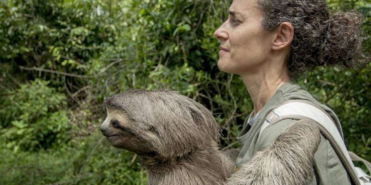Stunning Photos Show Rescuers Saving A Sloth - The Dodo