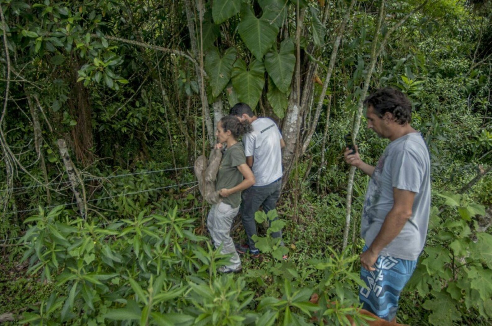 Stunning Photos Show Rescuers Saving A Sloth - The Dodo
