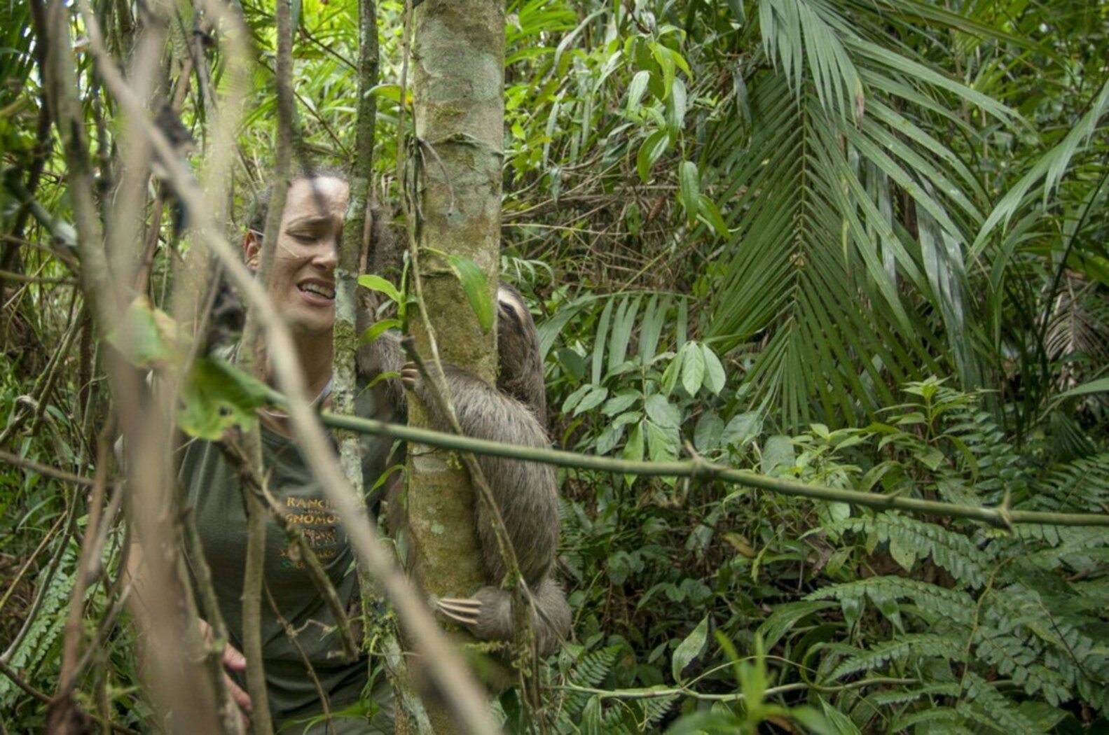 Stunning Photos Show Rescuers Saving A Sloth - The Dodo