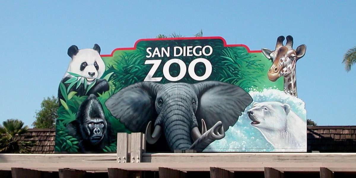 The Case For No Zoos - The Dodo