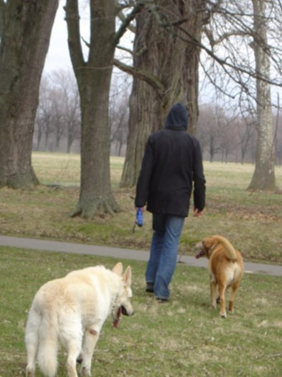 Everything I Know About Love, I Learned From My Dog - The Dodo