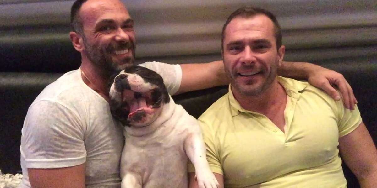 Frenchie Shows His Daddies How Karaoke's Really Done - The Dodo