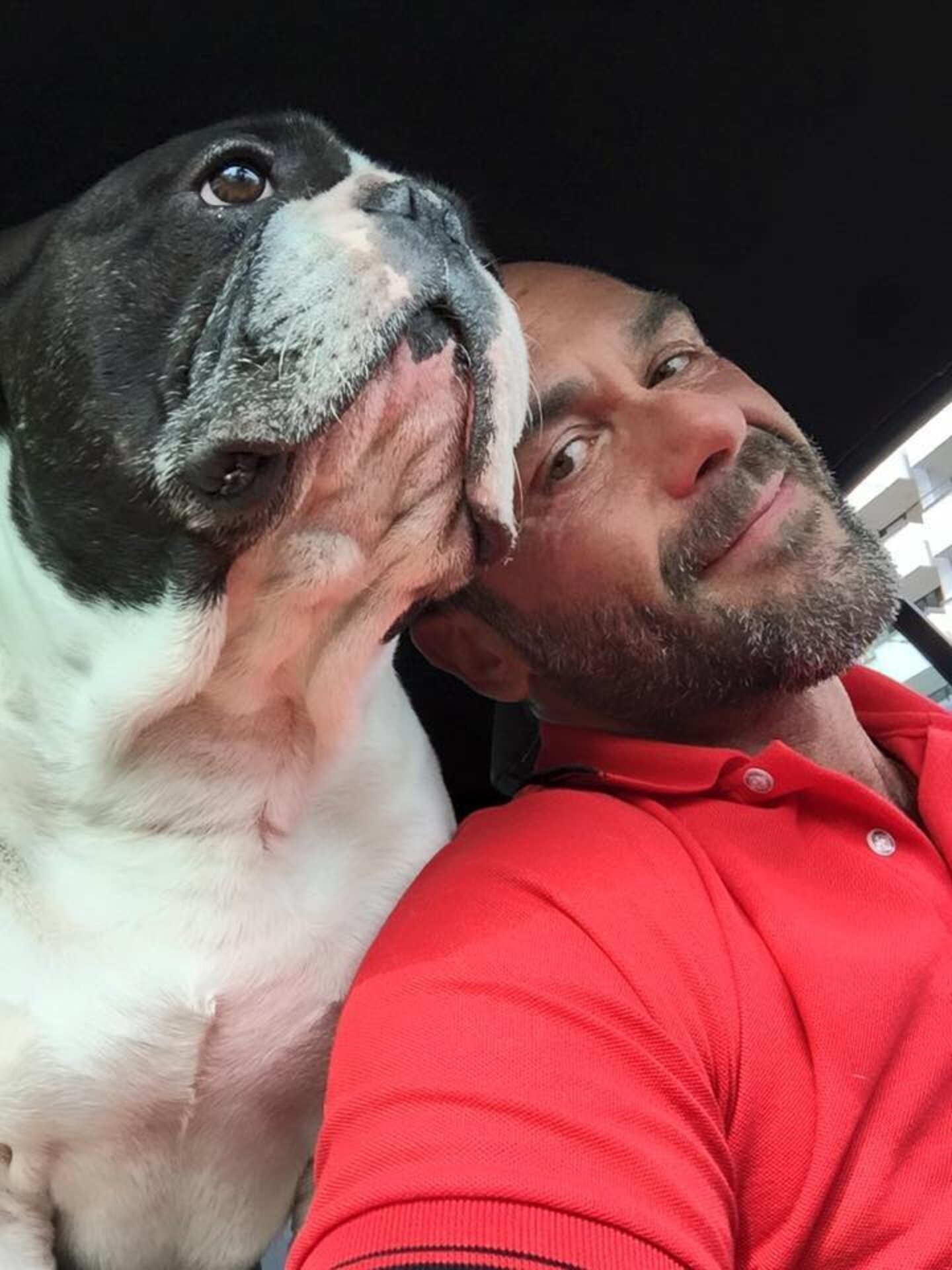 Frenchie Shows His Daddies How Karaoke's Really Done - The Dodo