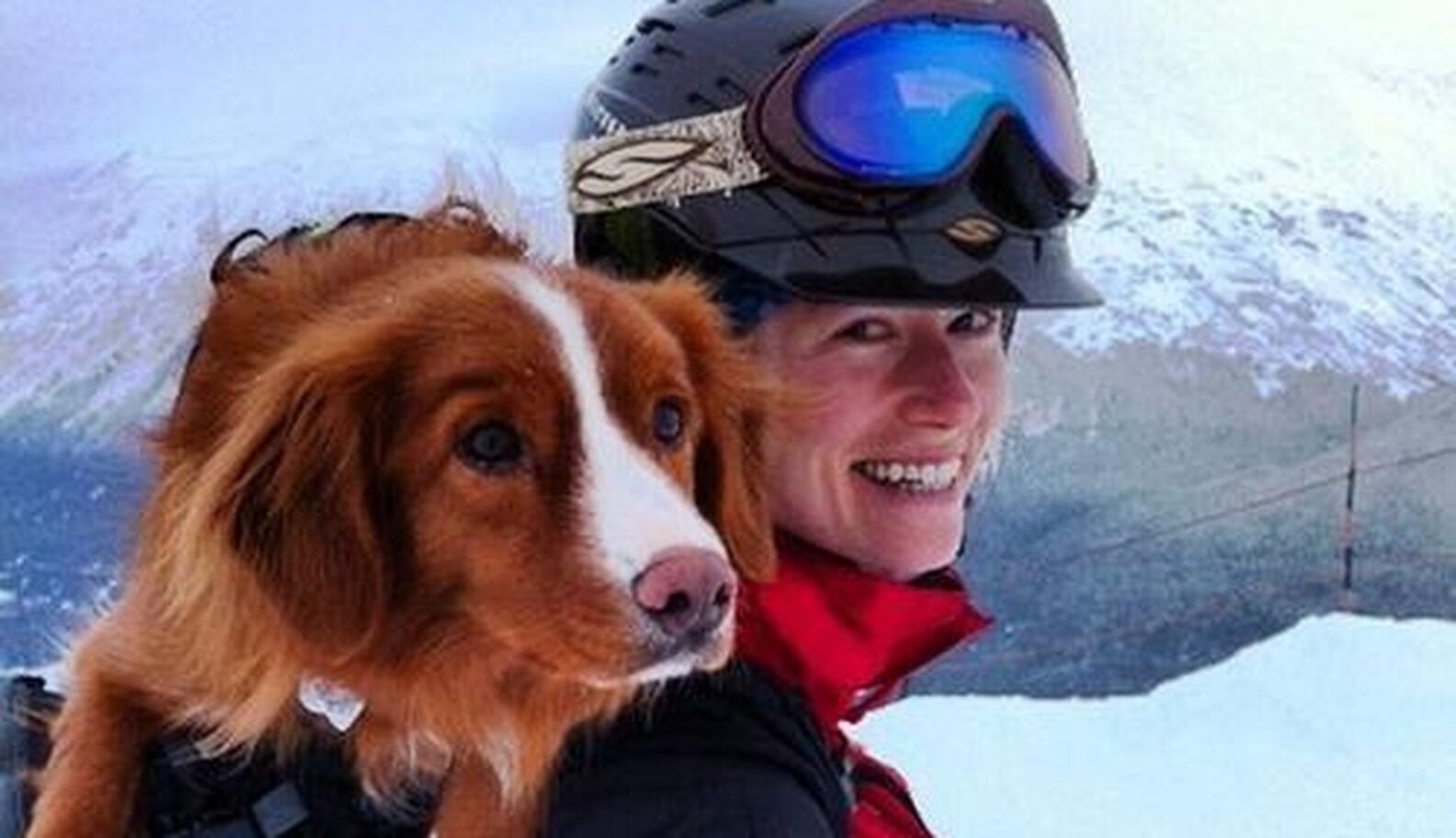 The Life And Times Of An Avalanche Rescue Dog In Alaska - The Dodo