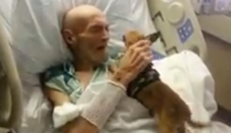 Dying Man Now 'Doing Better' After Hospital Reunites Him With His Dog ...