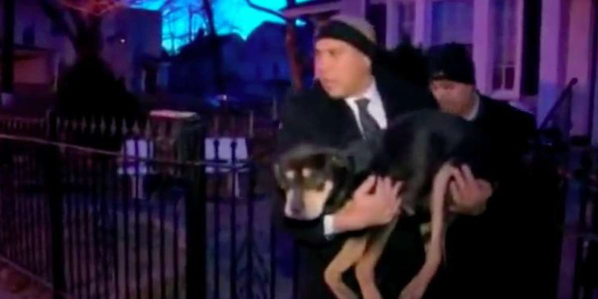 If You Love Animals, You'll Love Cory Booker - The Dodo