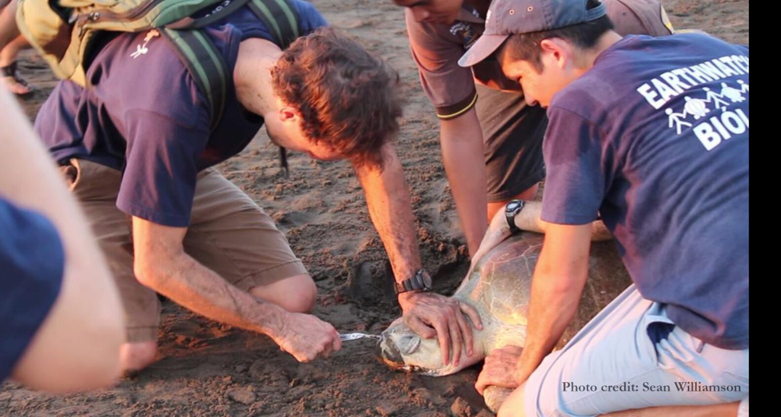 This Is What Happened When Someone Threw Out A Plastic Fork - The Dodo