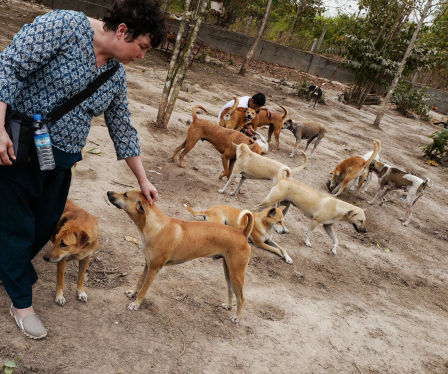 My Girlfriend Fell In Love With 2 Puppies In Myanmar - The Dodo