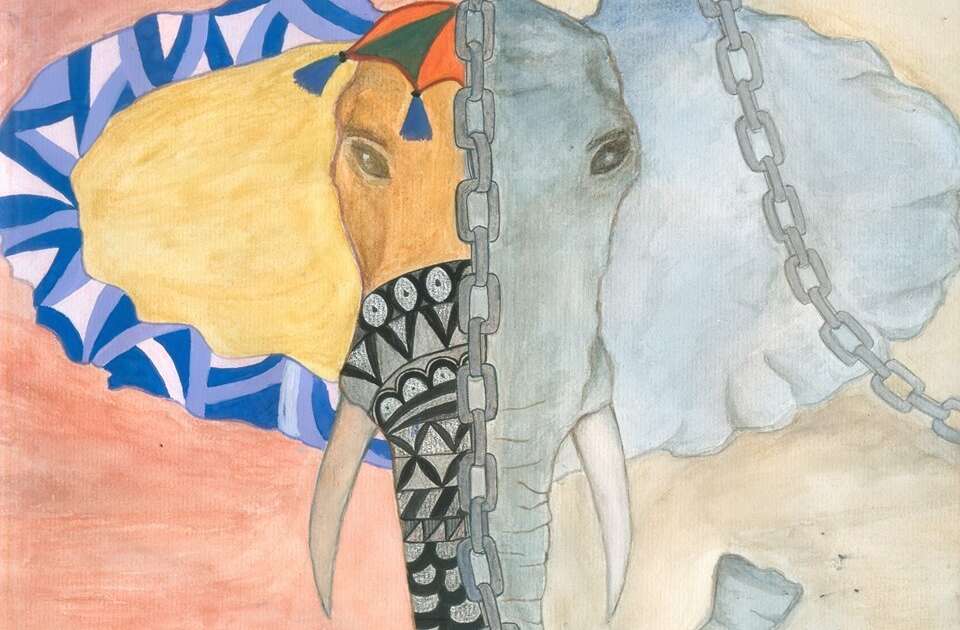 Chained circus elephant image seen across Vietnam - The Dodo