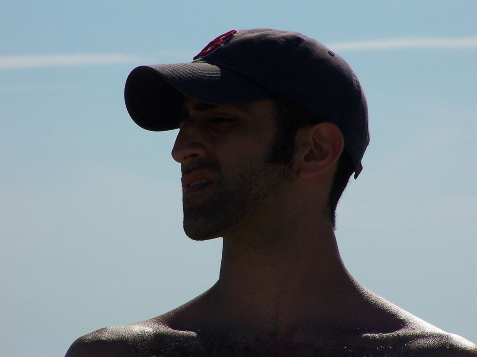 Elephants And Humans Share A Unique Biological Connection - The Dodo