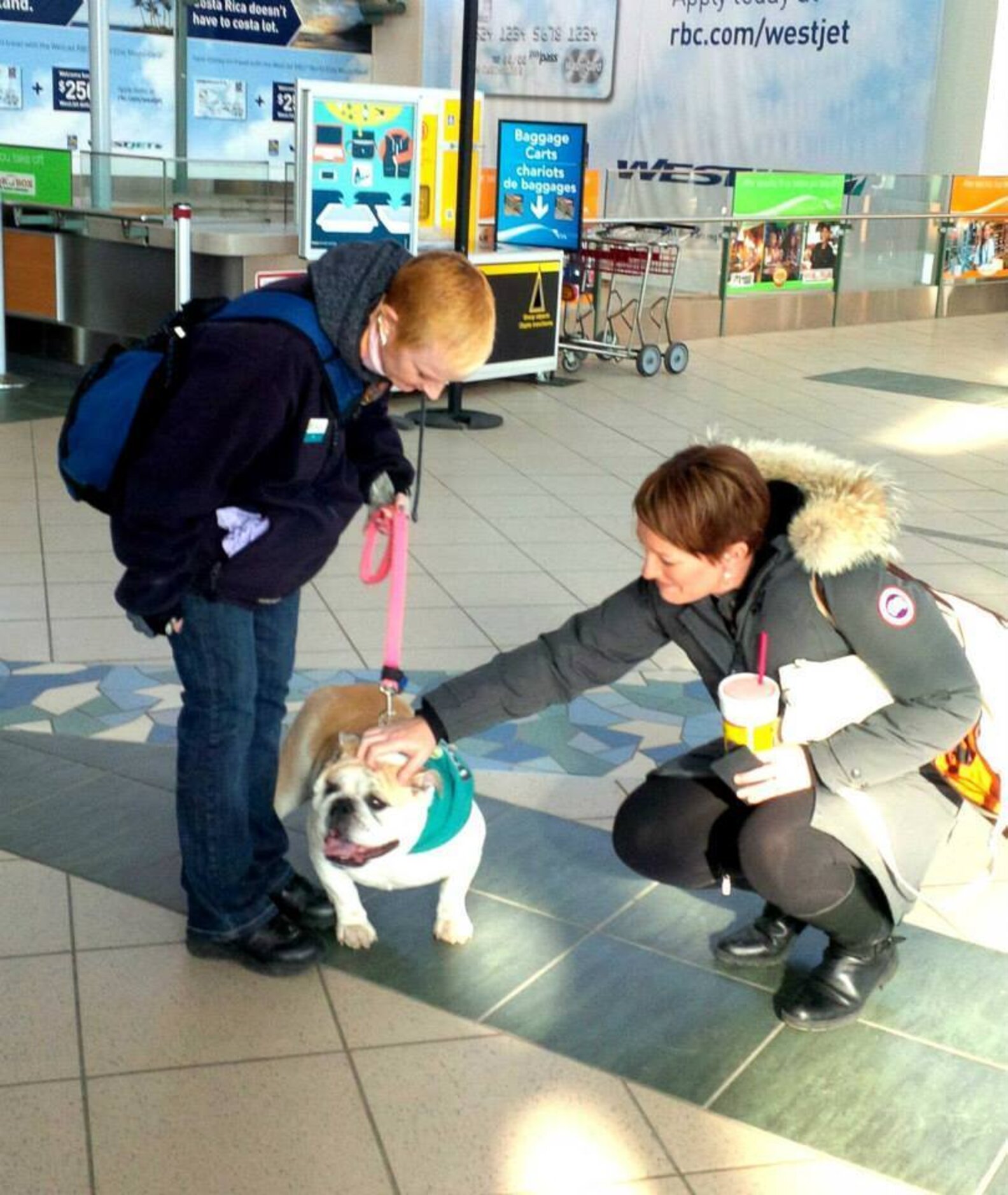 Canadian Airport Uses Therapy Dogs To Ease Passengers' Stress, Make ...