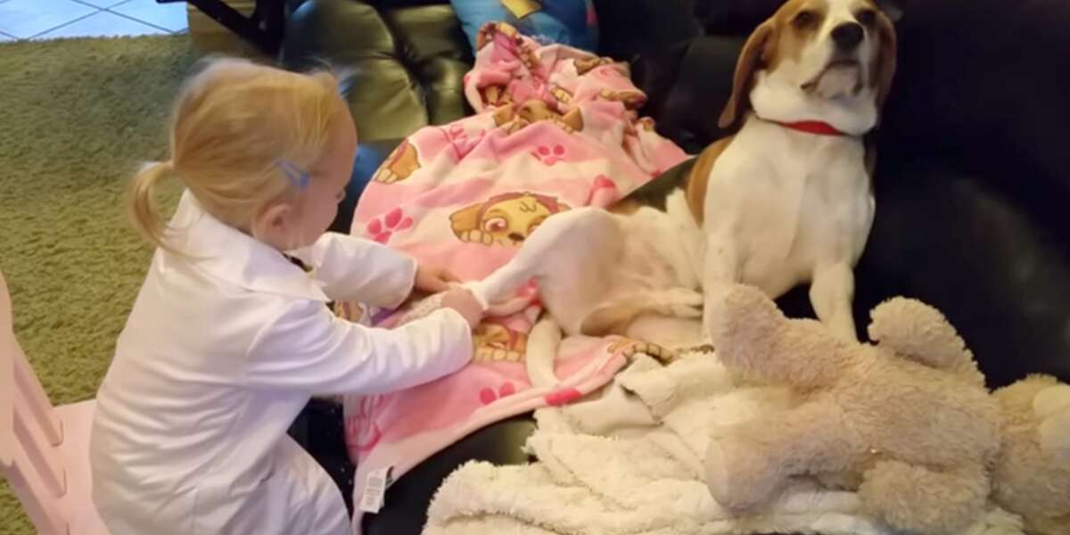 Little Girl 'Veterinarian' Rescues Dog Who Hurt His Paw - The Dodo