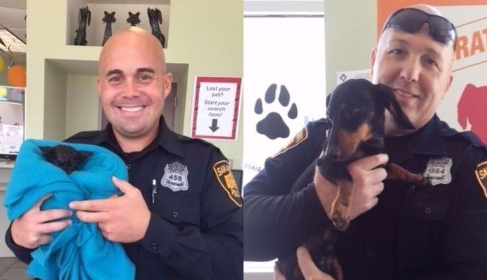 Cop Brothers Both Save Animals Who Were In The Middle Of Traffic - The Dodo