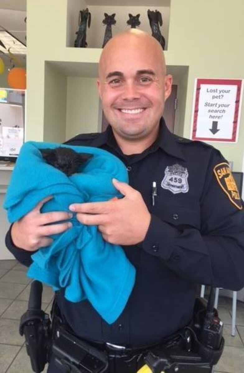 Cop Brothers Both Save Animals Who Were In The Middle Of Traffic - The Dodo