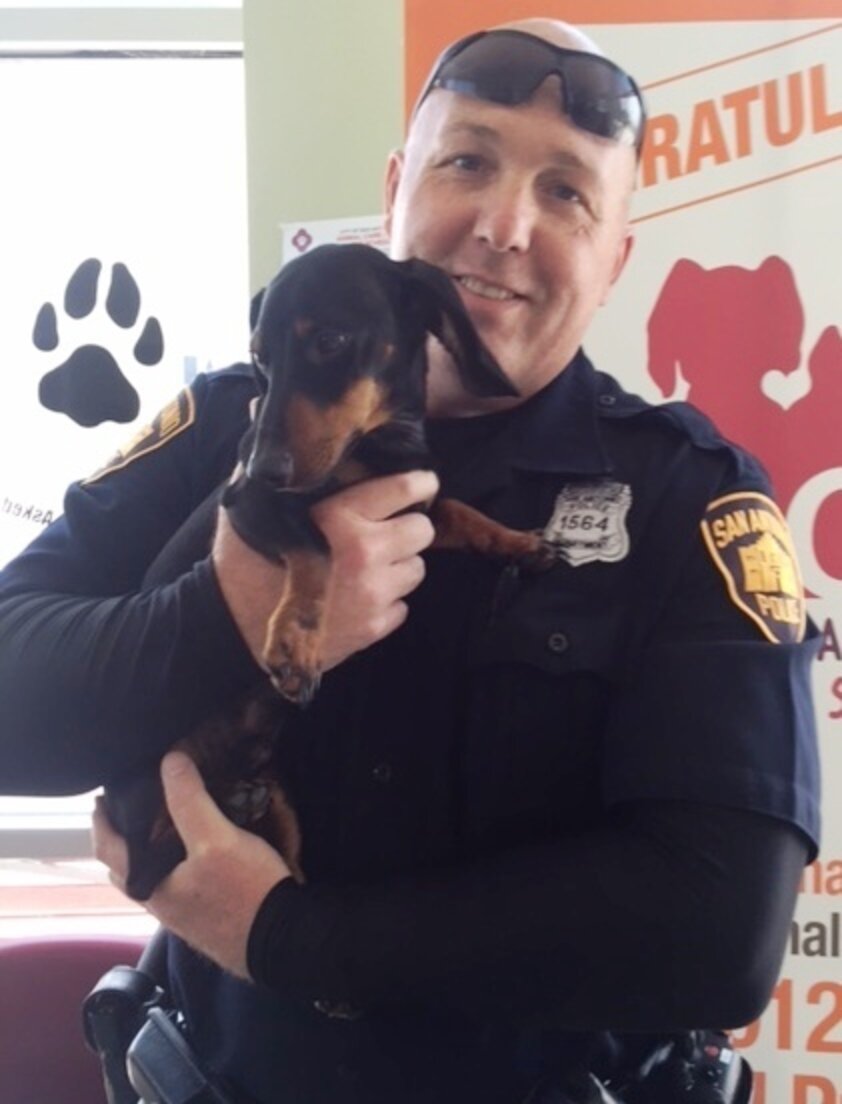Cop Brothers Both Save Animals Who Were In The Middle Of Traffic - The Dodo