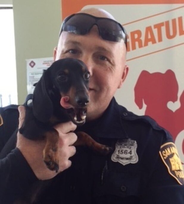 Cop Brothers Both Save Animals Who Were In The Middle Of Traffic - The Dodo