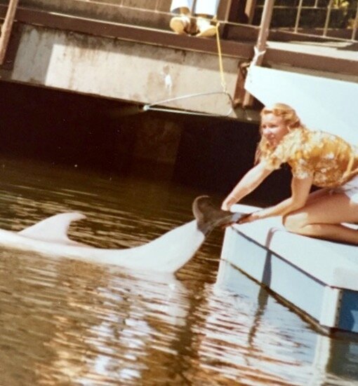 Another Former SeaWorld Employee Speaks Out - The Dodo