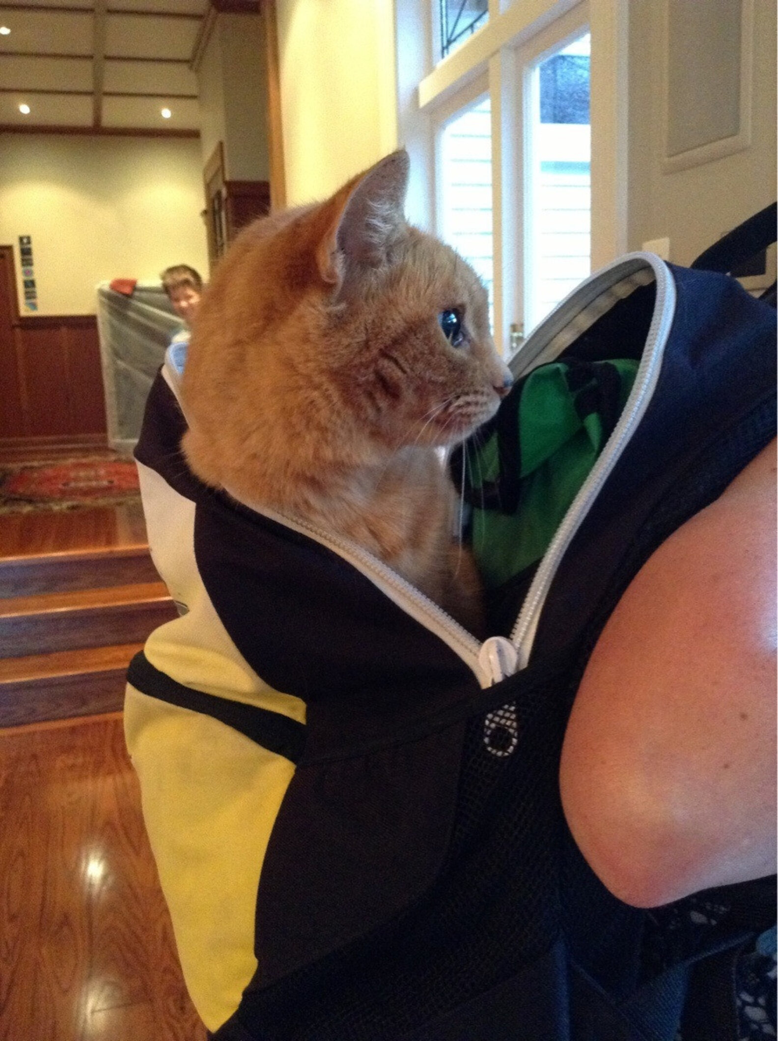 21 Pets Who Are Cuter Than Kids On The First Day Of School - The Dodo