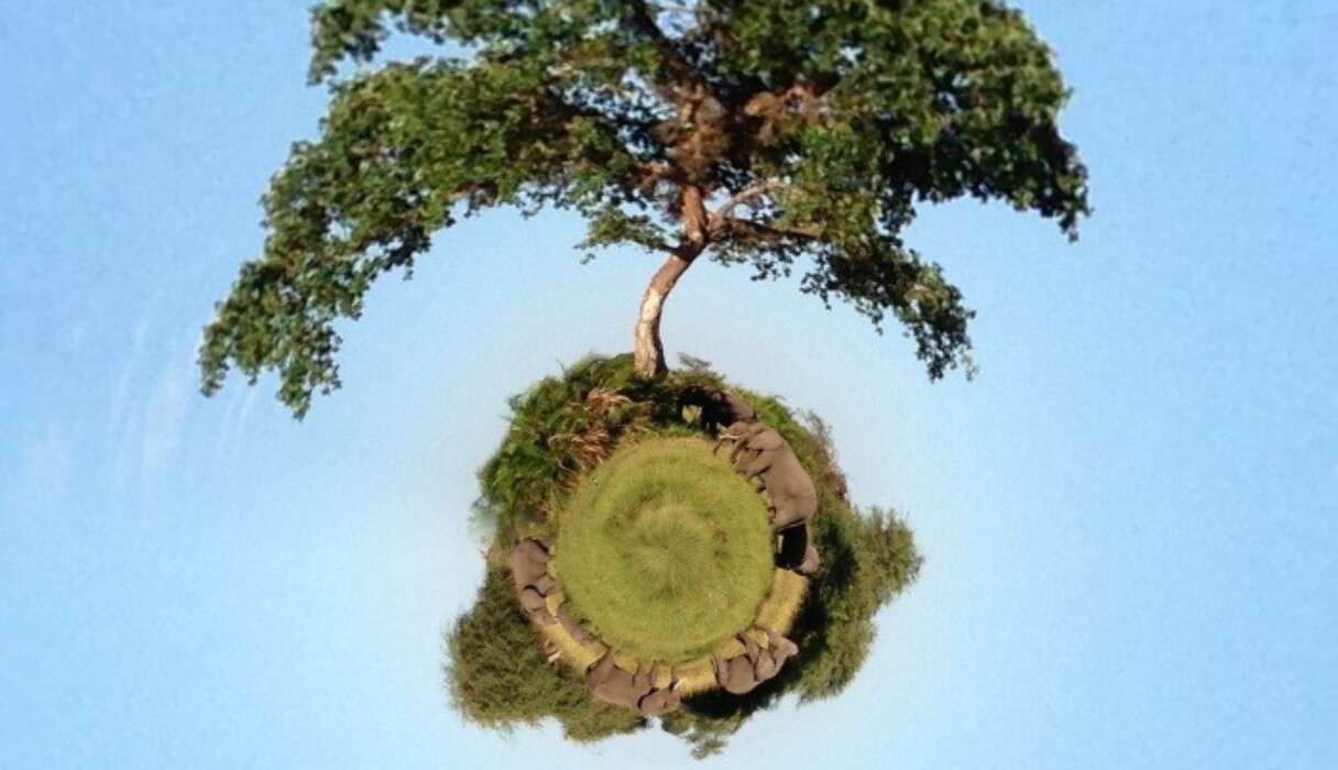 Giraffe Tiny Planets App