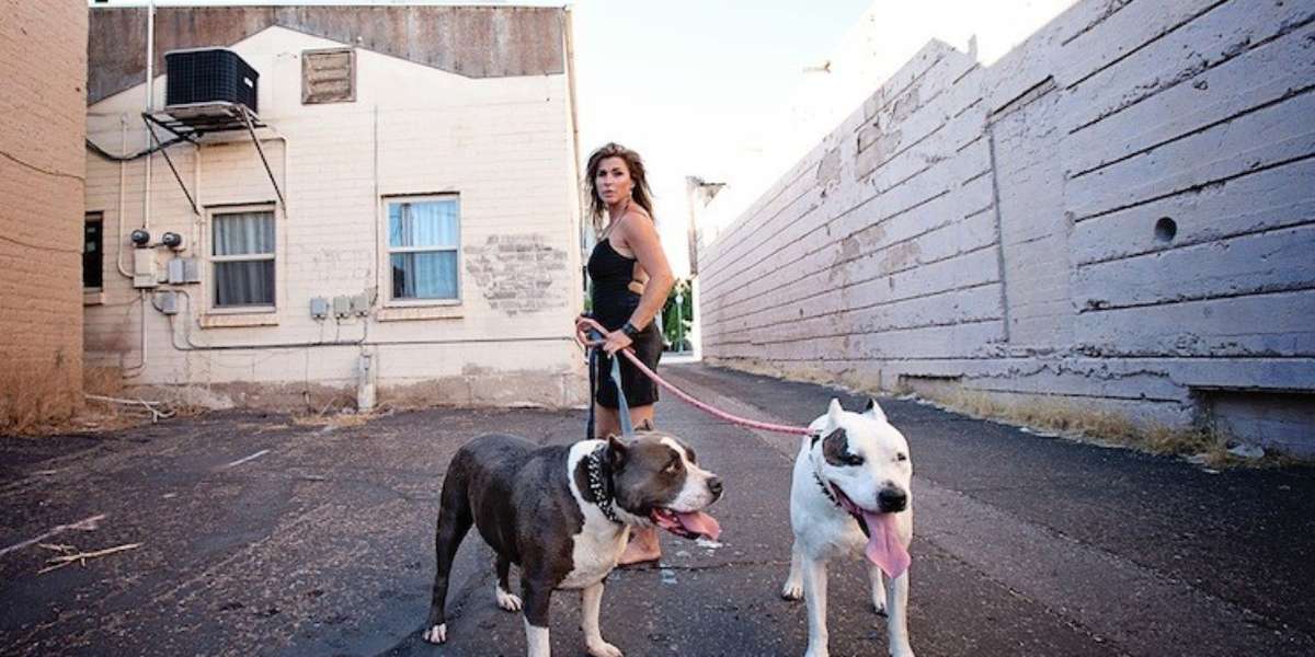 Homeless Dog Walker Finds Redemption In Building A Rescue Shelter - The ...