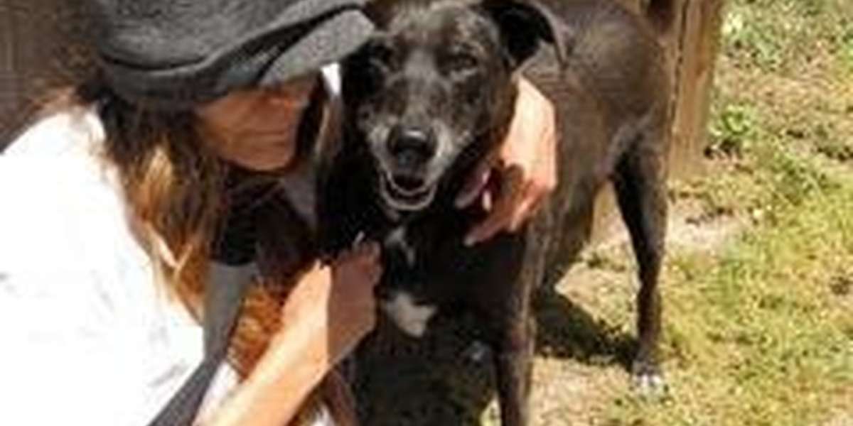 She's Dedicating Her Life To Helping Homeless People And Their Pets ...