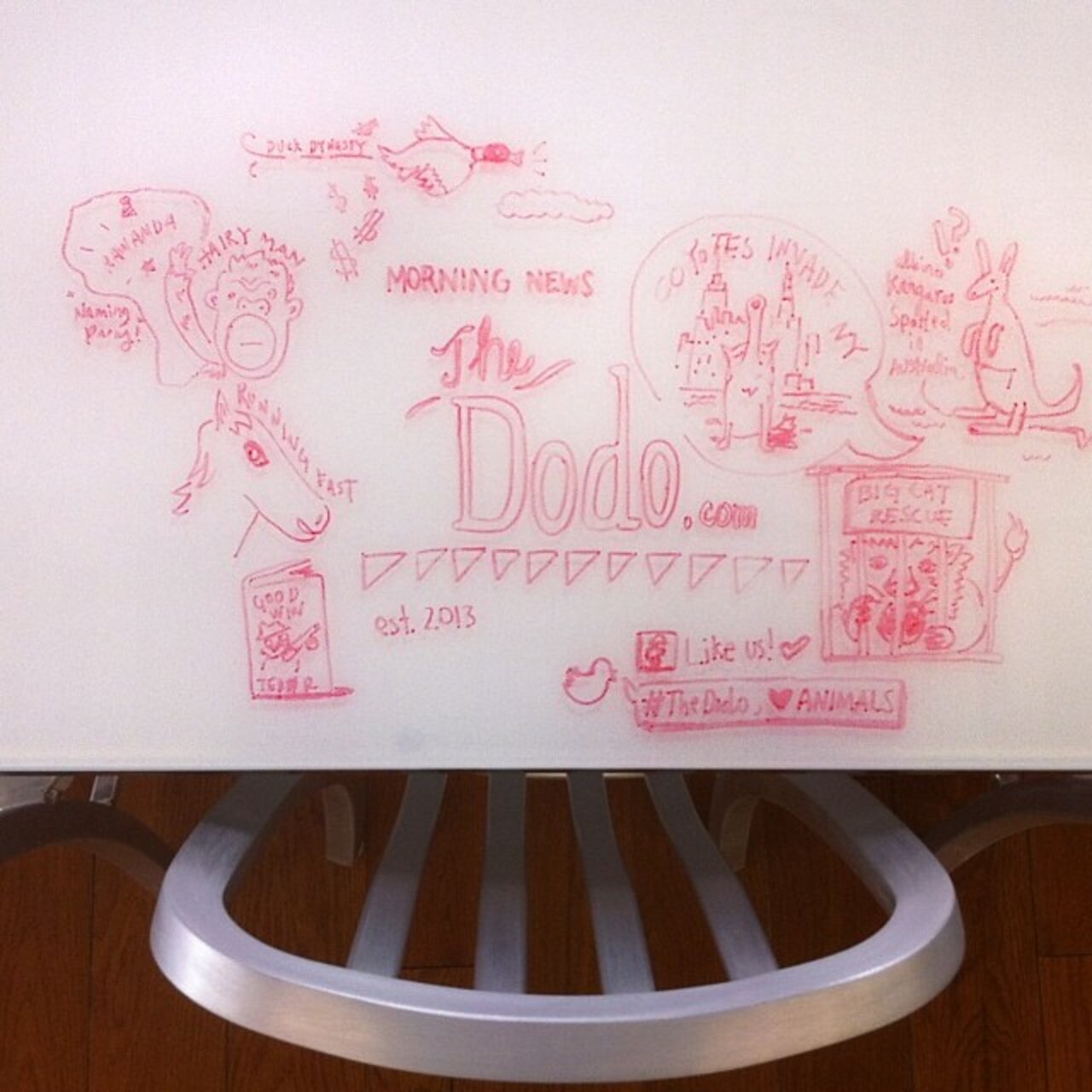 The Dodo at work. Doodles via @evejweinberg