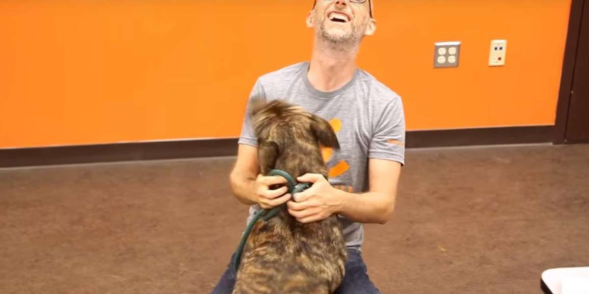 Every Dollar From Moby's Restaurant Will Go To Animals - The Dodo
