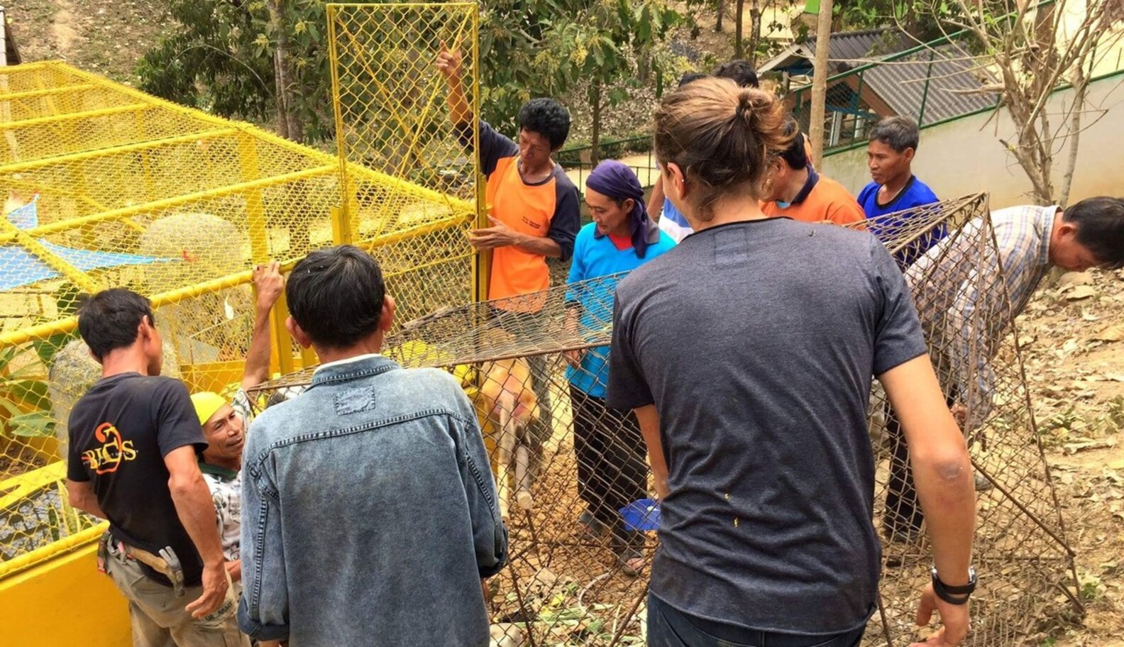 Monkey Who Spent 7 Years In Cage Now Has Her Very Own 'Palace' - The Dodo