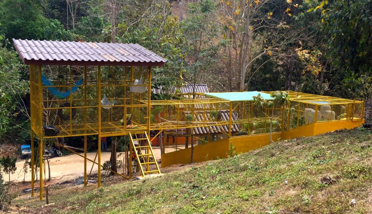 Monkey Who Spent 7 Years In Cage Now Has Her Very Own 'Palace' - The Dodo