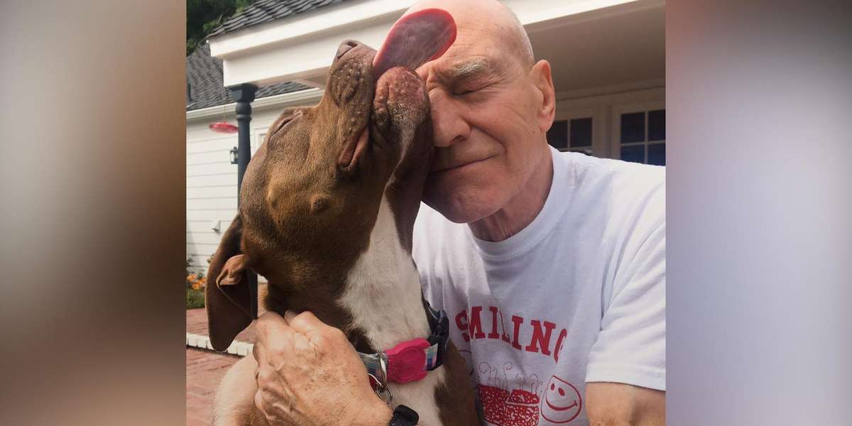 The Best Moments Of Patrick Stewart And His Foster Dog - Videos - The Dodo