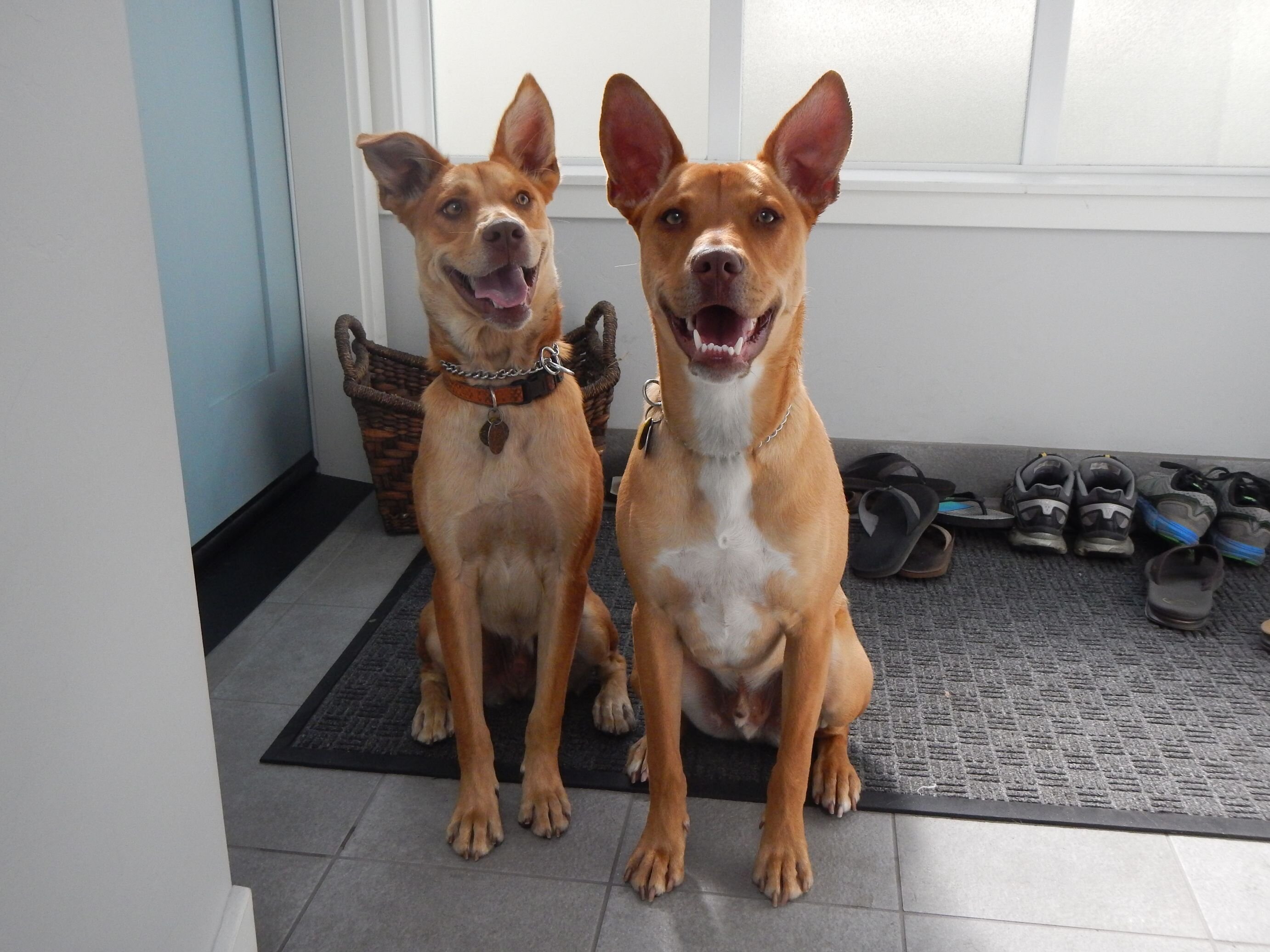 44 Brothers And Sisters Who Prove Some Bonds Can't Be Broken - The Dodo